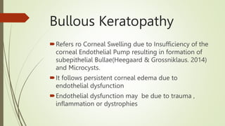 Bullous Keratopathy 1.pptx