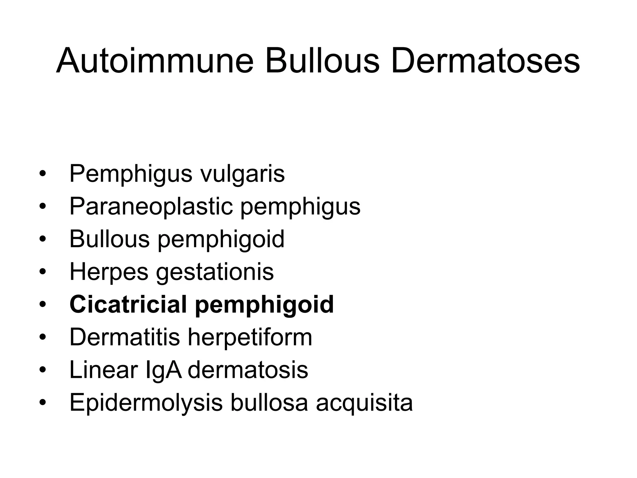 Bullous lesions.pdf