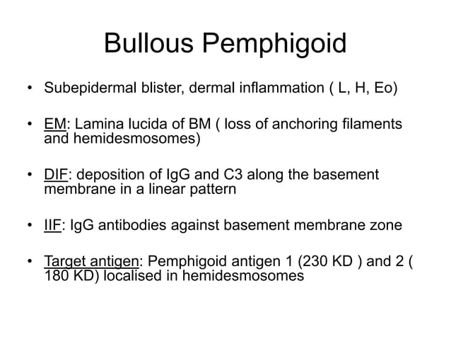 Bullous lesions.pdf