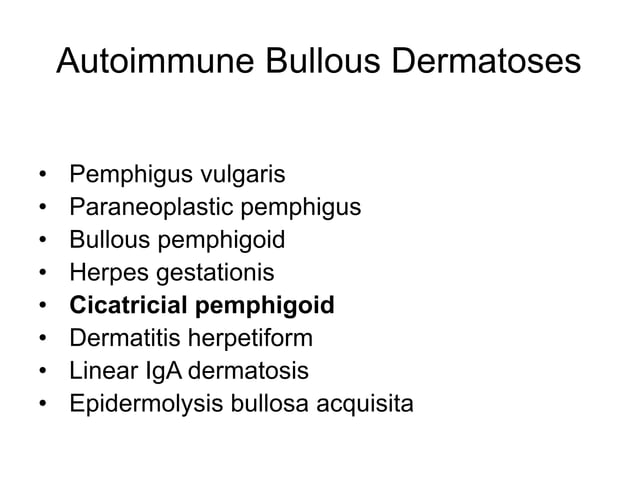Bullous lesions.pdf