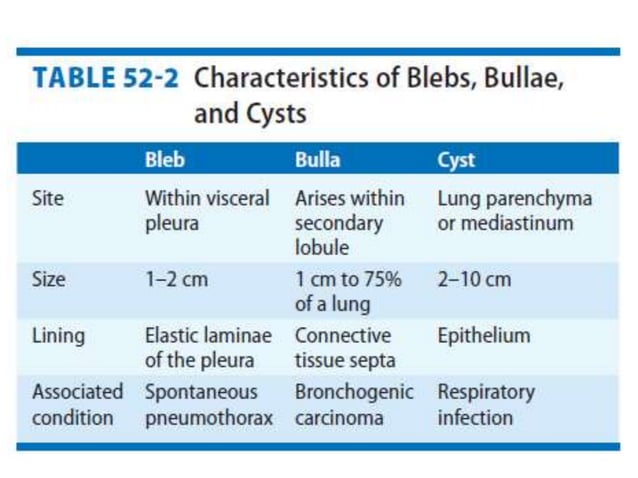 Approach to Bullous lung disease | PPT | Lung and Respiratory Health ...