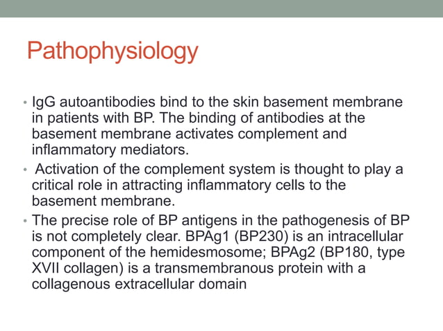 BULLOUS SKIN DISORDERS.ppt | Skin and Dermatology | Diseases and Conditions
