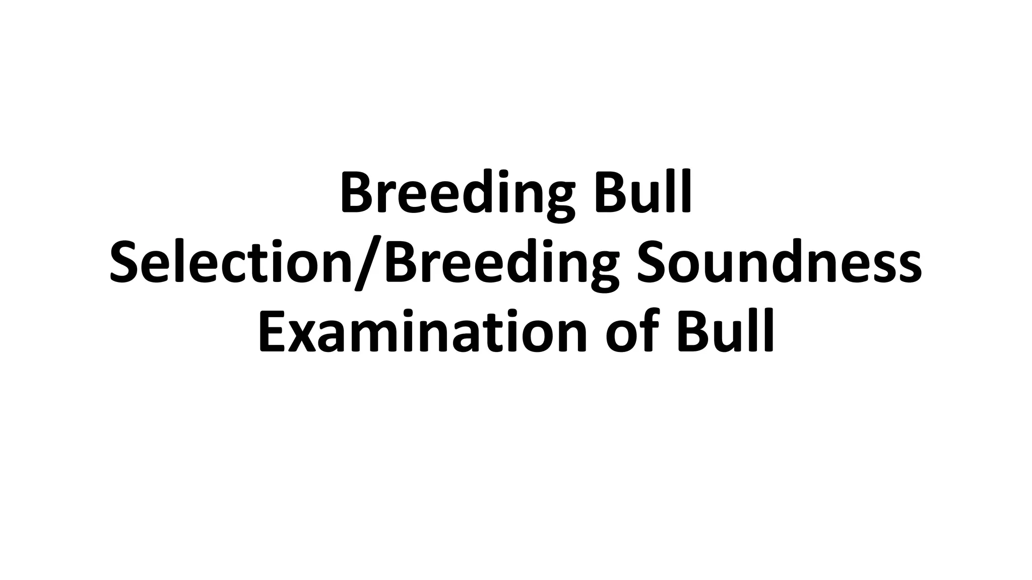 Bull Selection or breeding soundness exa | PPTX