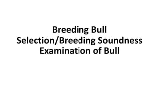 Bull Selection or breeding soundness exa | PPTX