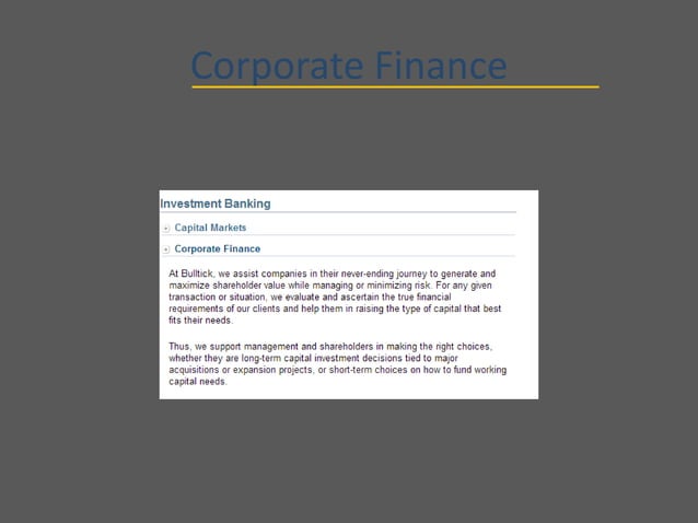 Who is Bulltick | PPTX | Business Banking & Finance | Business