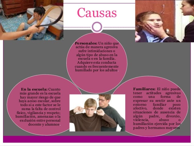 Causas Del Bullying