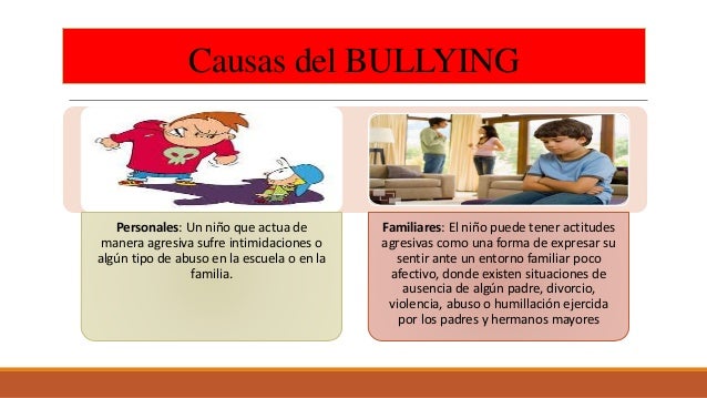 Causas Del Bullying