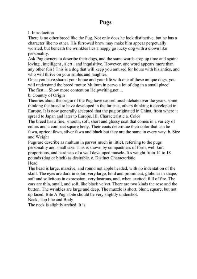 Bullying Persuasive Essay.pdf