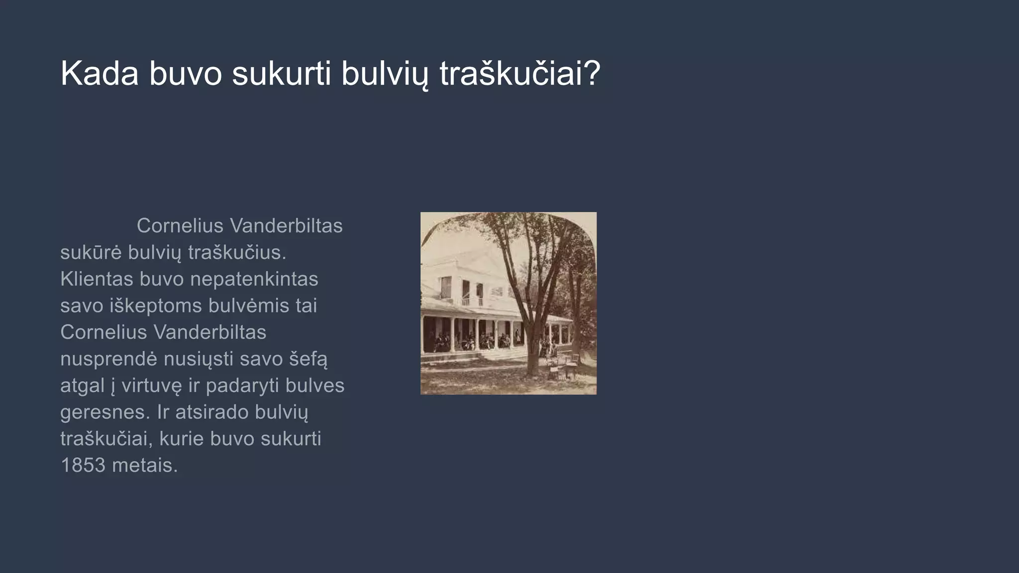 Bulviu_traskuciai | PPTX