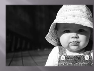 Bumble & Boo Photography | PPTX