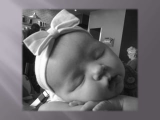 Bumble & Boo Photography | PPTX