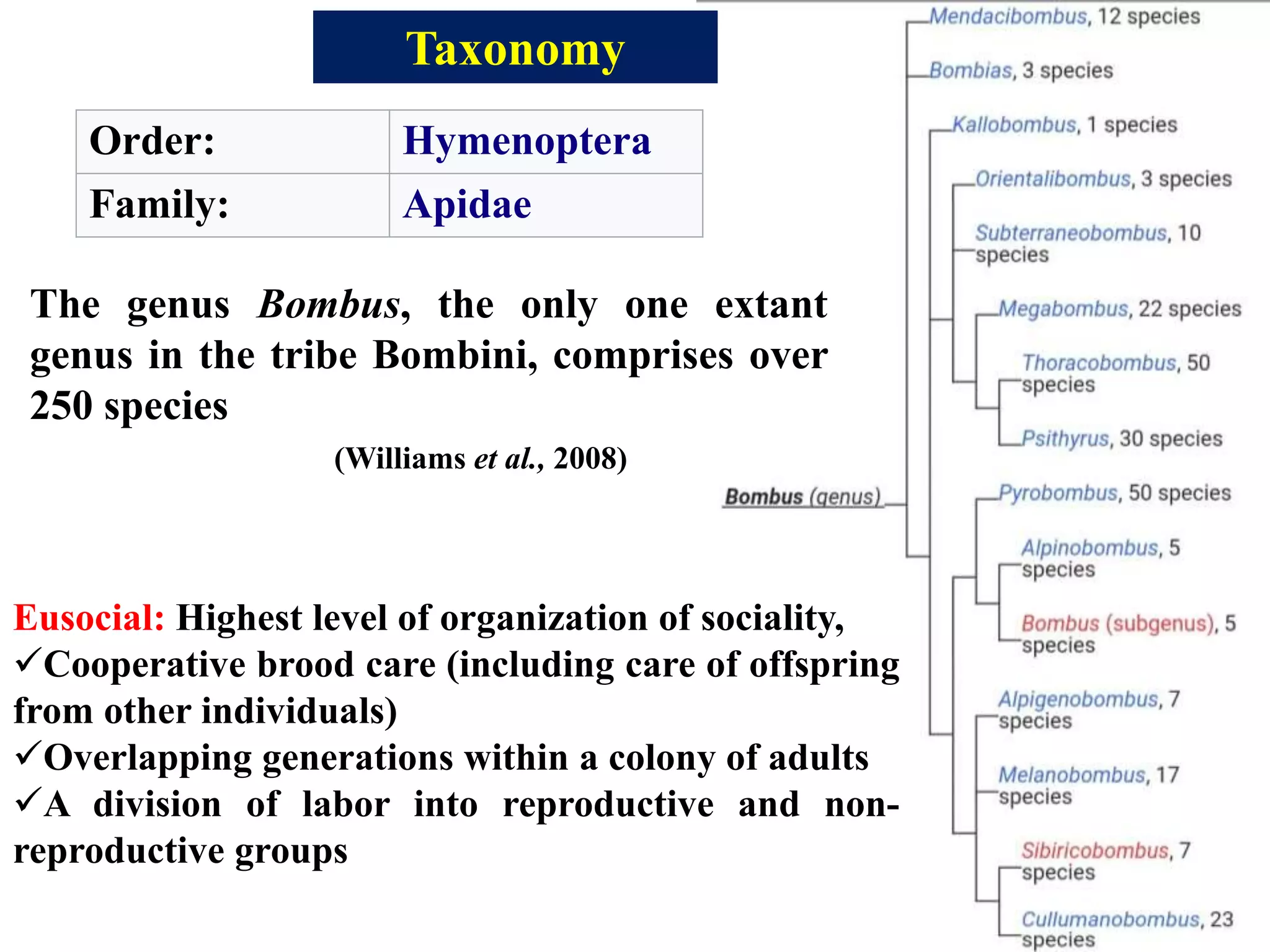 Chemical Ecology of Bumble bee | PPTX
