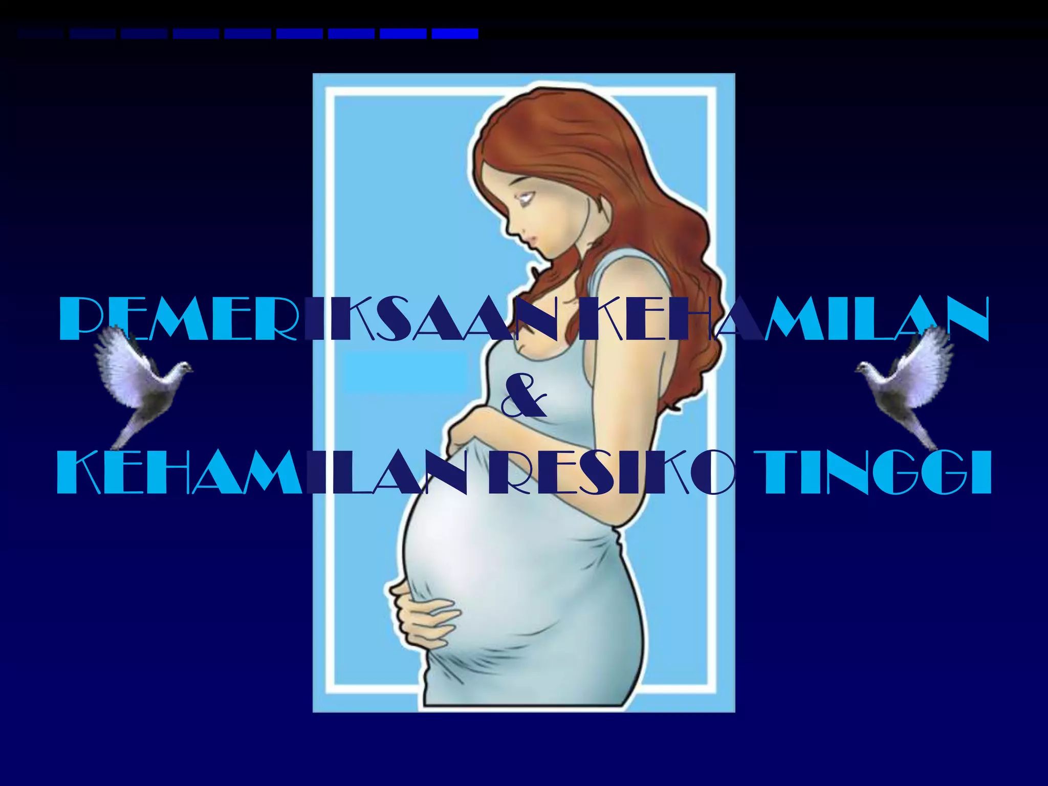 Penyuluhan Ibu Hamil Resiko Tinggi | PPTX