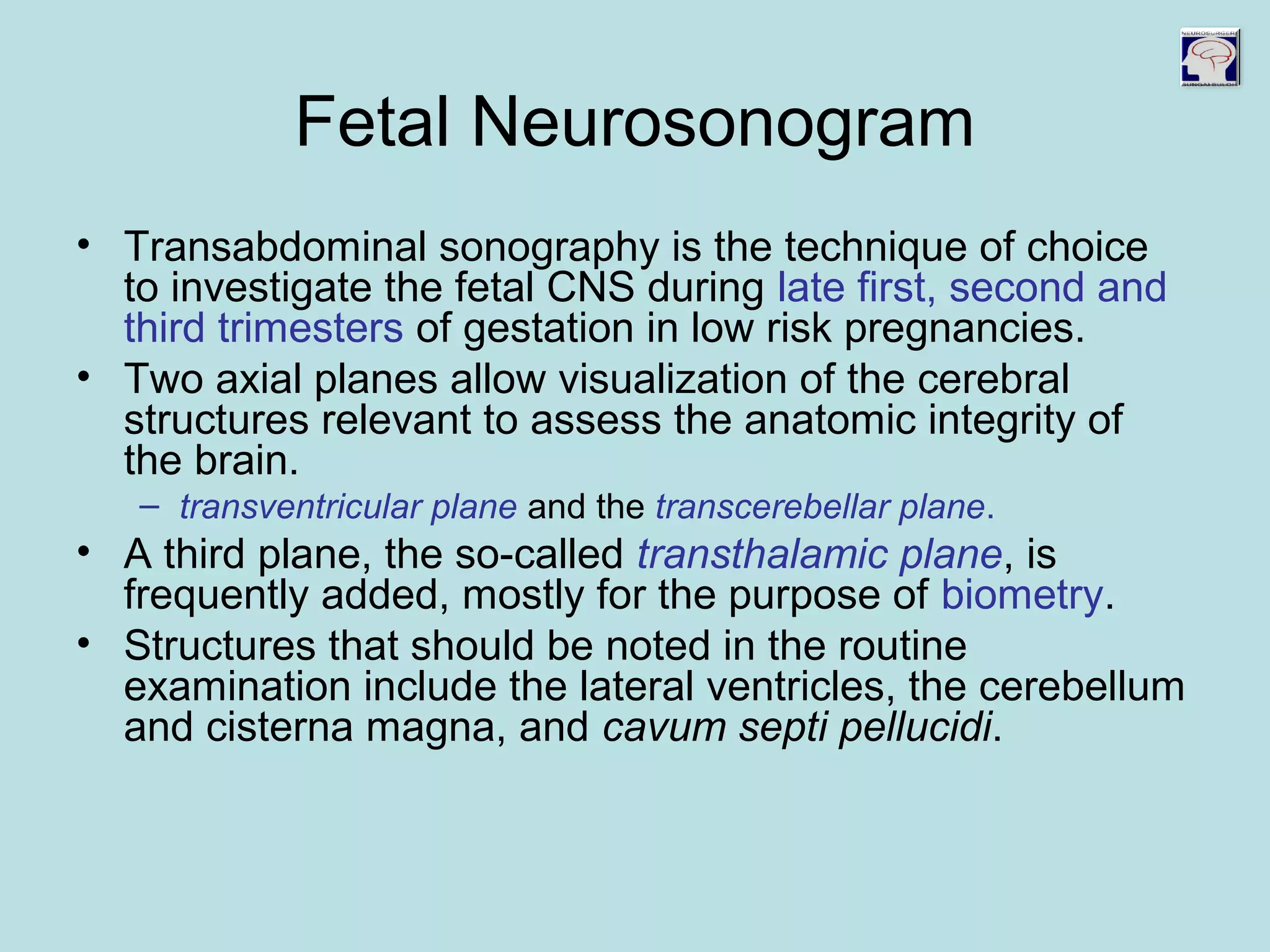 Bedside Ultrasound in Neurosurgery Part 1/3 | PPT