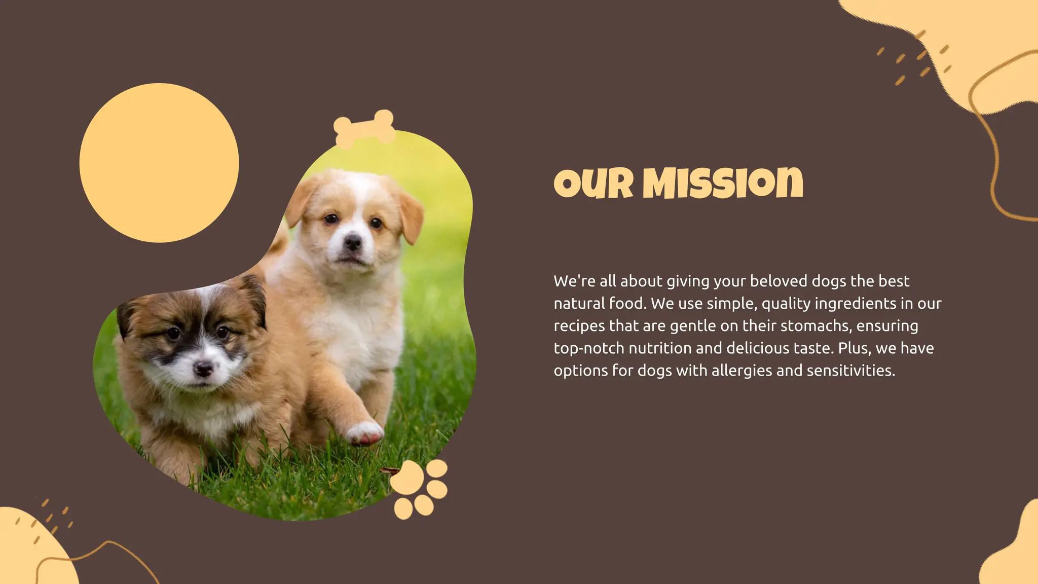 Bunch For Pets | PPTX | Pet Supplies | Pets