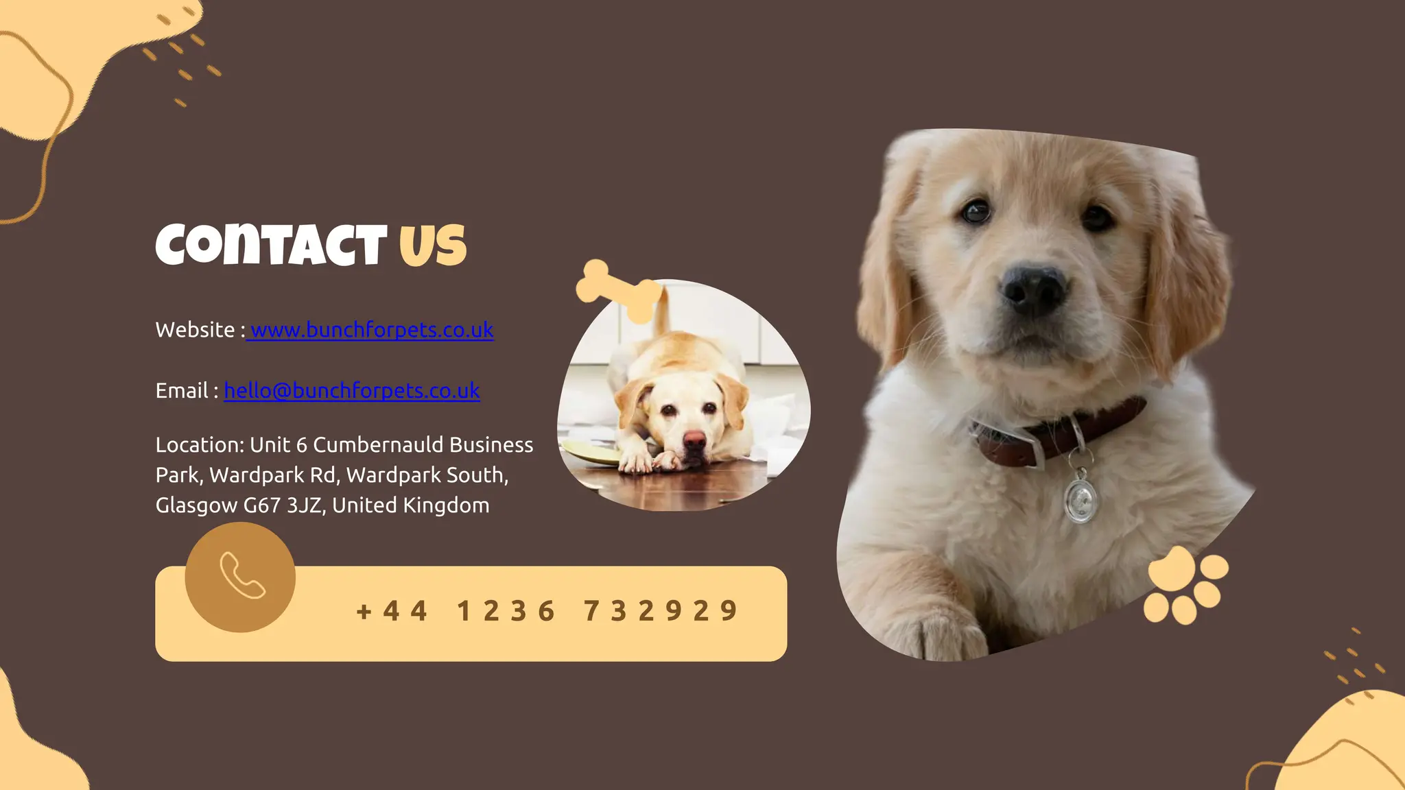 Bunch For Pets | PPTX | Pet Supplies | Pets