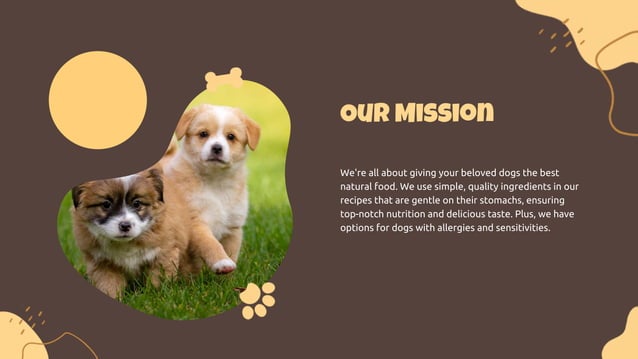 Bunch For Pets | PPTX | Pet Supplies | Pets