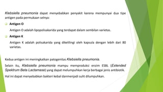 KLEBSIELLA PNEUOMONIA.pptx
