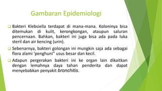 KLEBSIELLA PNEUOMONIA.pptx