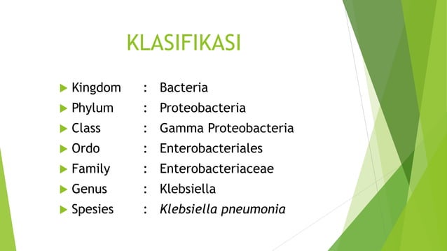 KLEBSIELLA PNEUOMONIA.pptx