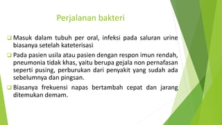 KLEBSIELLA PNEUOMONIA.pptx