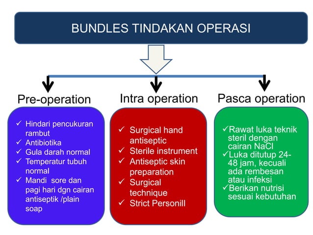 BUNDELS_HAIS_IPCD.pptx