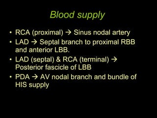 Bundle branch blocks | PPT