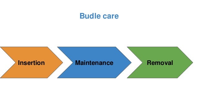 Bundle care under process | PPTX