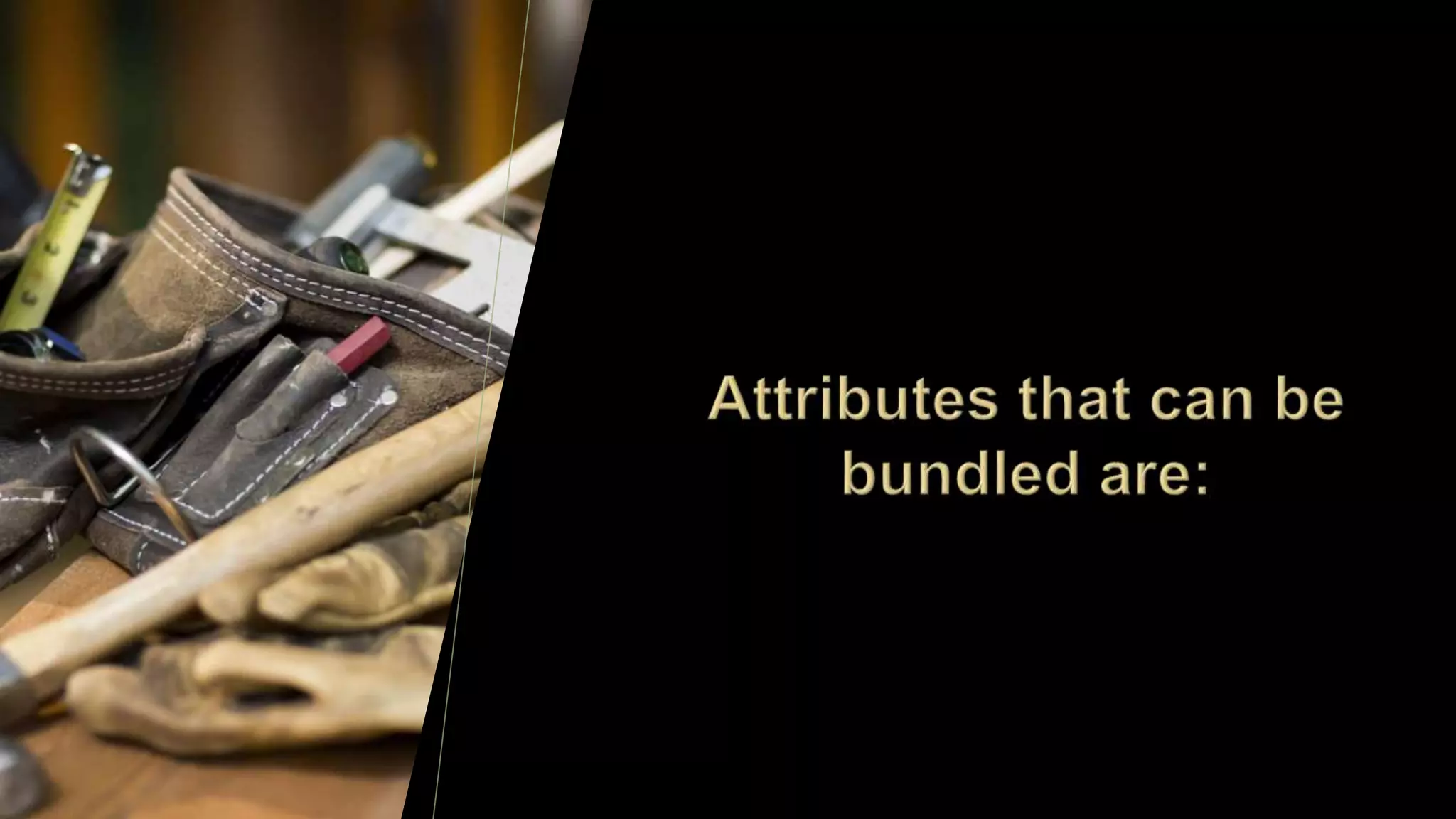 Bundled Attributes by R.Chinthamani.pptx