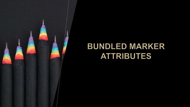 Bundled Attributes by R.Chinthamani.pptx