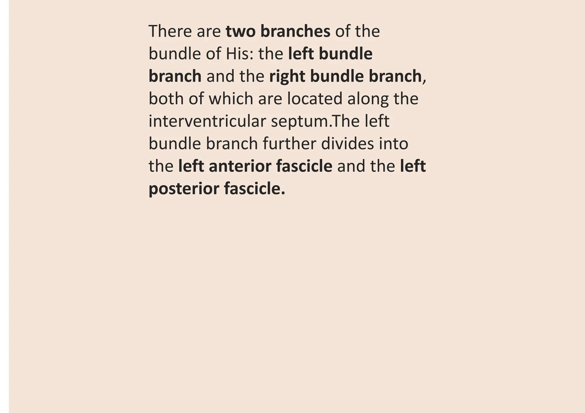 Bundle Of His history,and brief Presentation ( CP).pdf