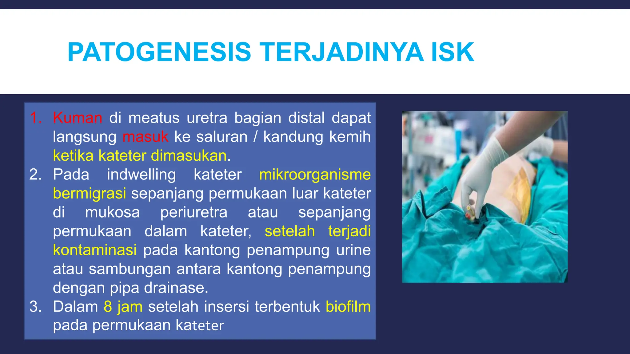 BUNDLES HAIS PENCEGAHAN DAN PENGENDALIAN INFEKSI | PPTX