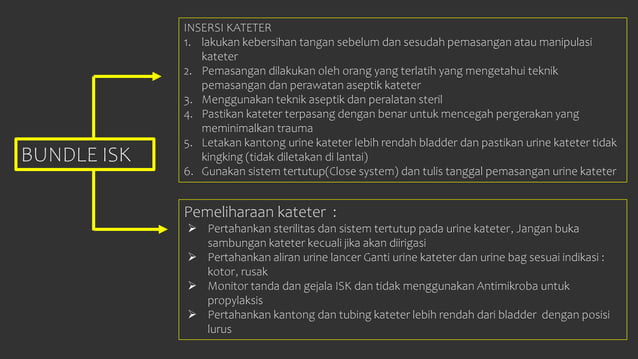 BUNDLES HAIS PENCEGAHAN DAN PENGENDALIAN INFEKSI | PPTX