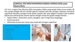 PENERAPAN PPI : BUNDLES HAIS_WARDANELLA.pdf