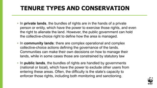 Bundles of rights | PPTX