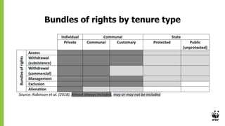 Bundles of rights | PPTX