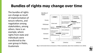 Bundles of rights | PPTX
