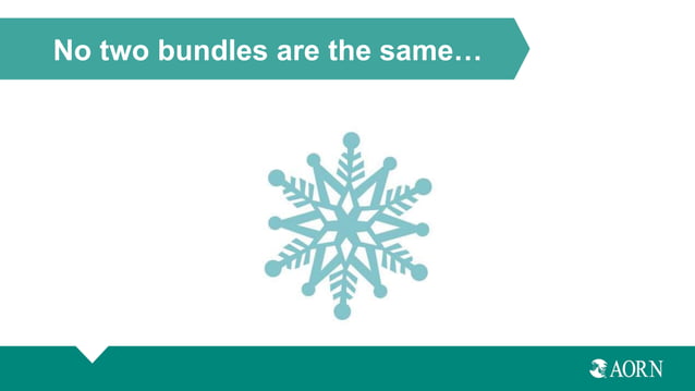 SSI Bundles | PPTX