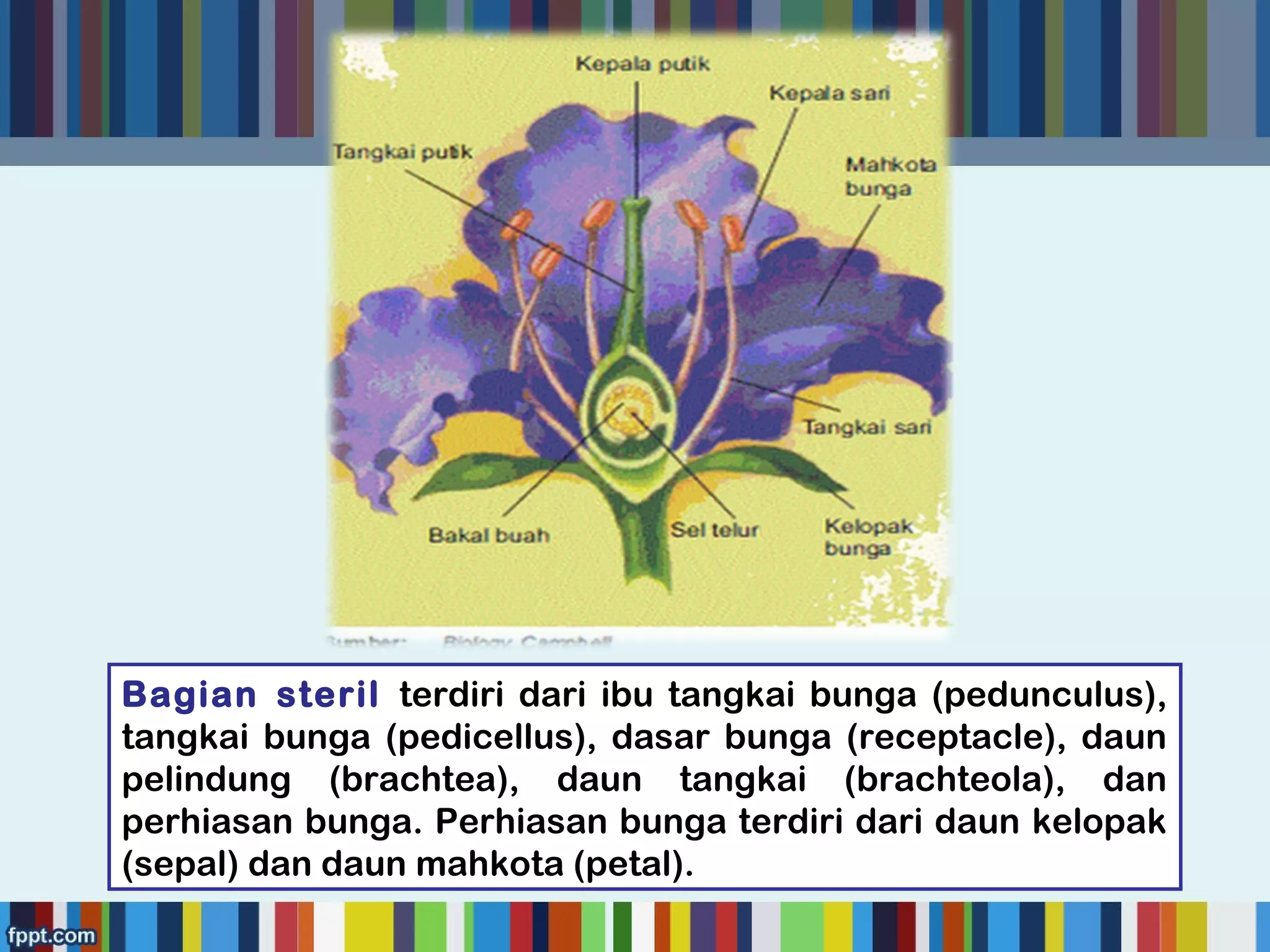 Bunga xi ipa 1 | PPT