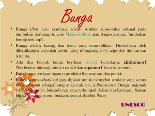 Bunga xi ipa 1 | PPT