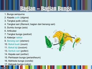 Bunga xi ipa 1 | PPT