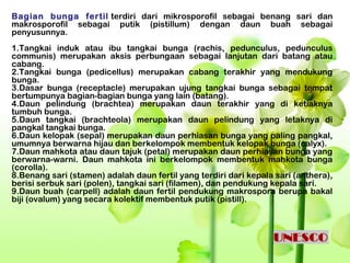 Bunga xi ipa 1 | PPT