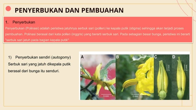 PENEGRTIAN BUNGA, STRUKTUR BUNGA, BAGIAN BUNGA.pptx