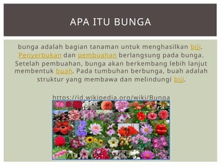 macam bunga hias yang ada di indonesia siti robiyatun | PPTX
