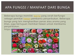 macam bunga hias yang ada di indonesia siti robiyatun | PPTX