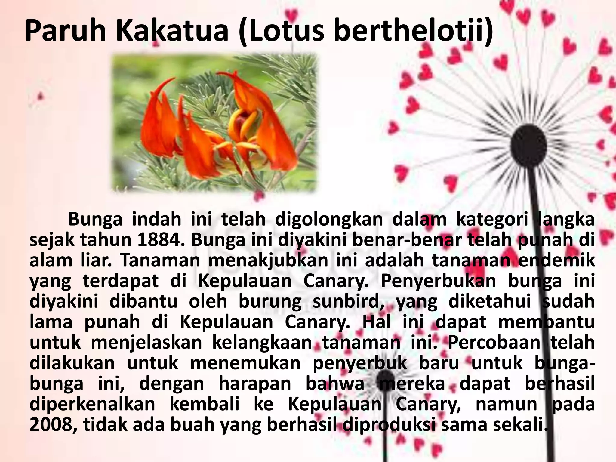 Bunga-bunga Langka di Dunia | PPT