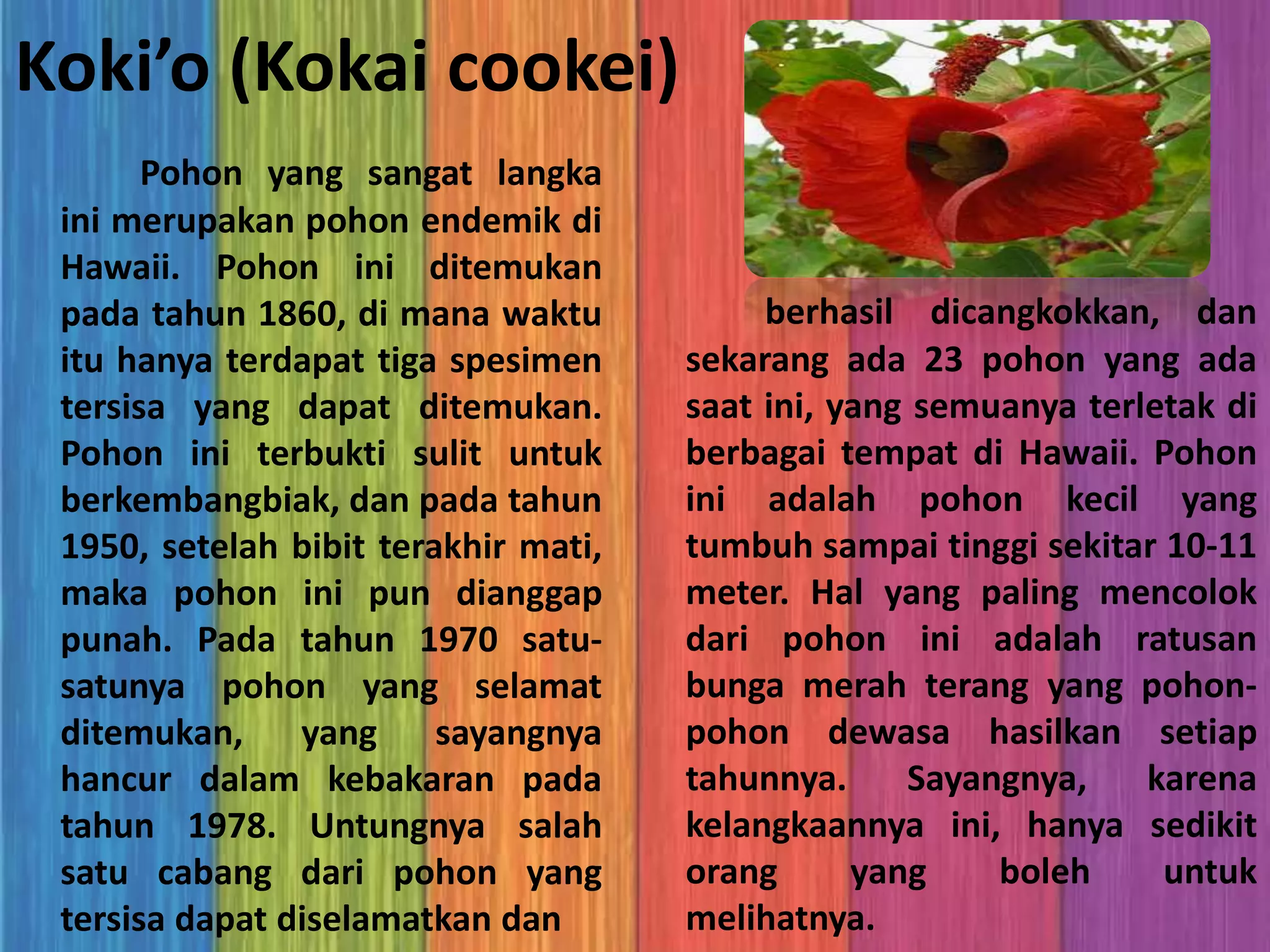 Bunga-bunga Langka di Dunia | PPT