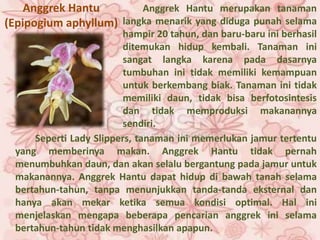 Bunga-bunga Langka di Dunia | PPTX