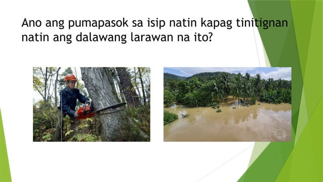 BUNGA AT SANHI GRADE 7 .Naipaliliwanag ang sanhi at bunga ng mga ...