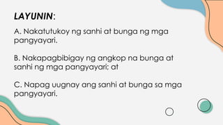 Ang Sanhi at Bunga PowerPoint Presentation | PPTX